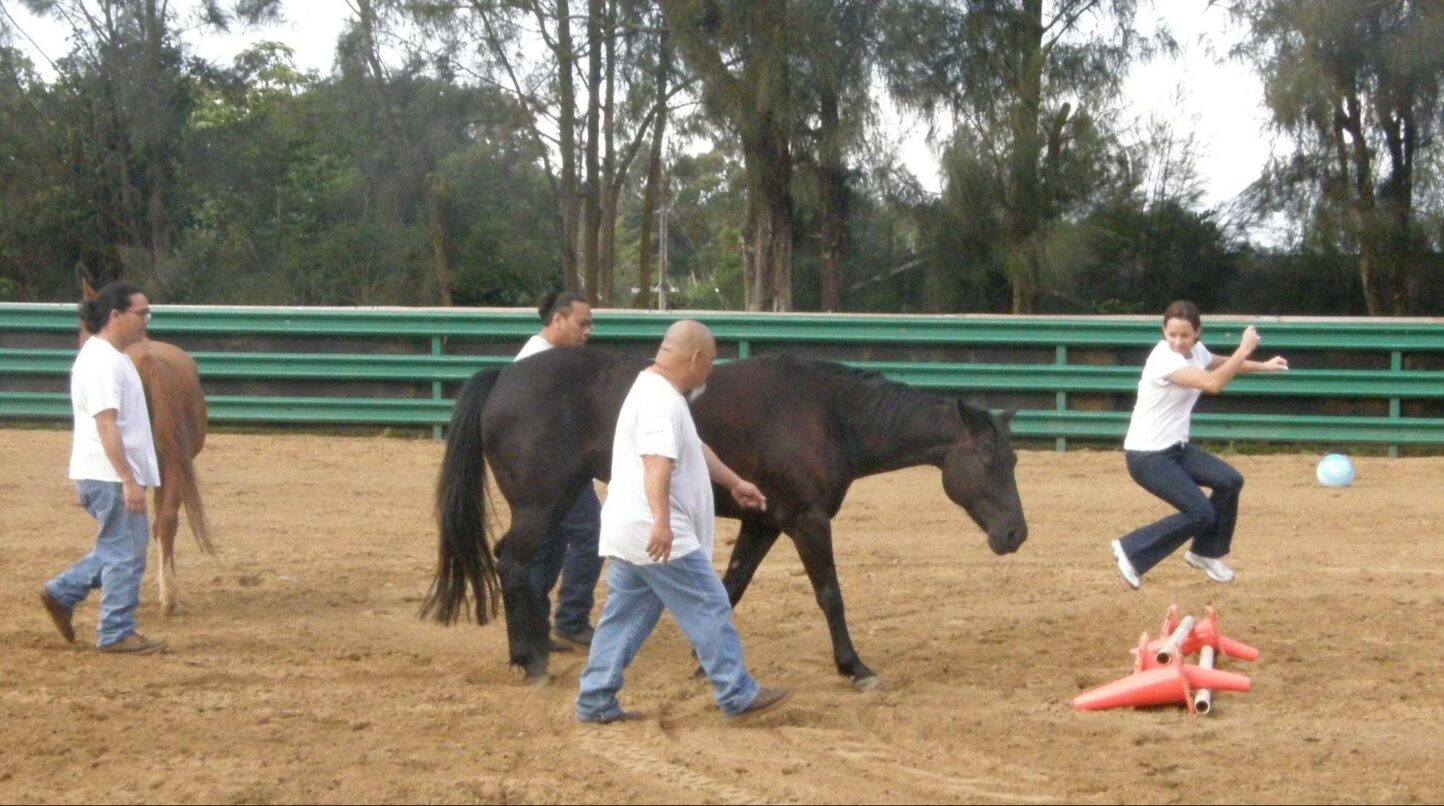 Equine Therapy - Healing With Horses - Gateways to Transformation, LLC